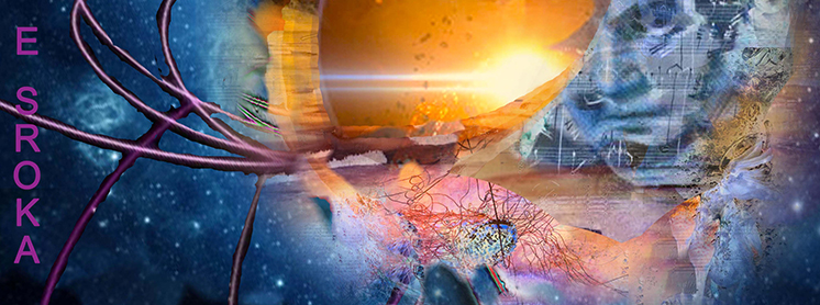 STI & CST Solar Array Factory opening